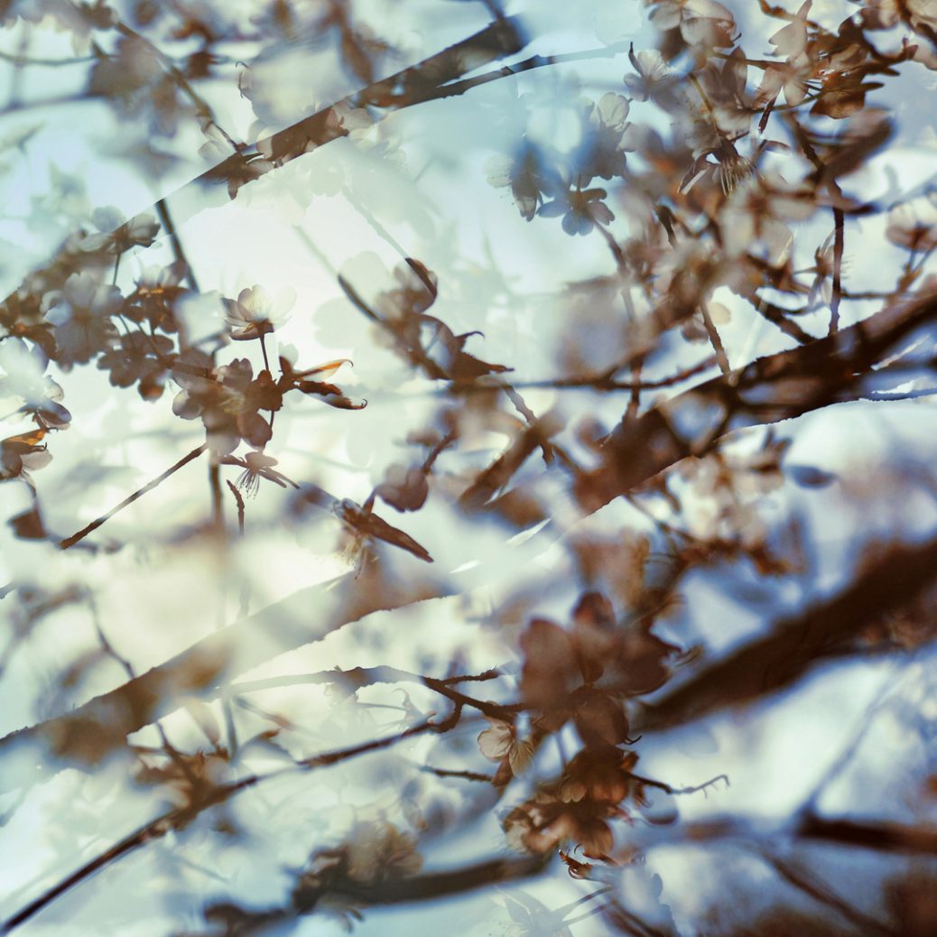 Stephanie Jung: The Art of Abstract Urban Photography - DPC | Digital ...